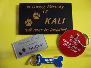 Our Gallery - Clive Wilson